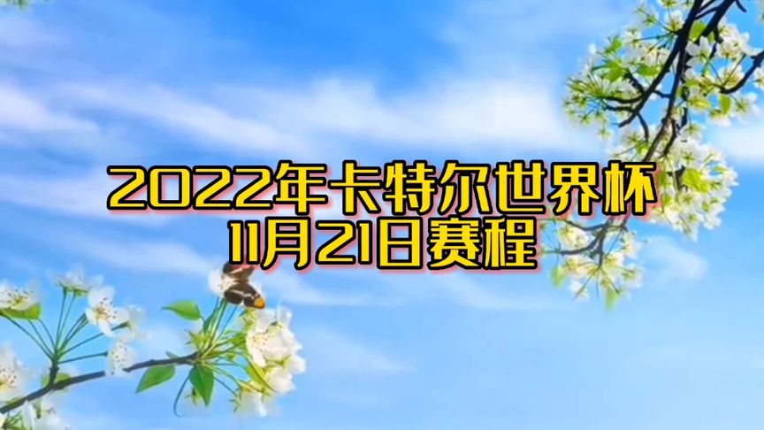 2022年卡塔世界杯11月21日赛程,首场比赛东道主能取胜吗?