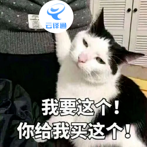 译讯科技小助手 