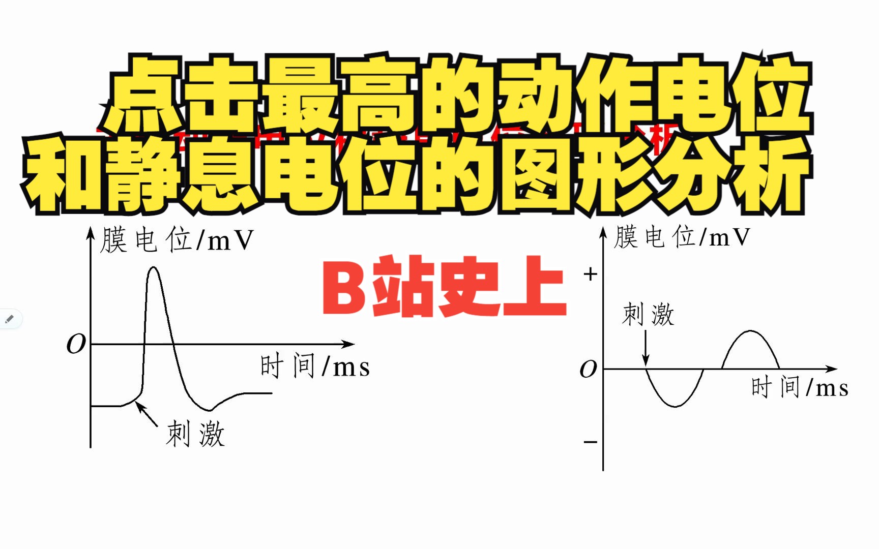 动作电位和静息电位的图形分析
