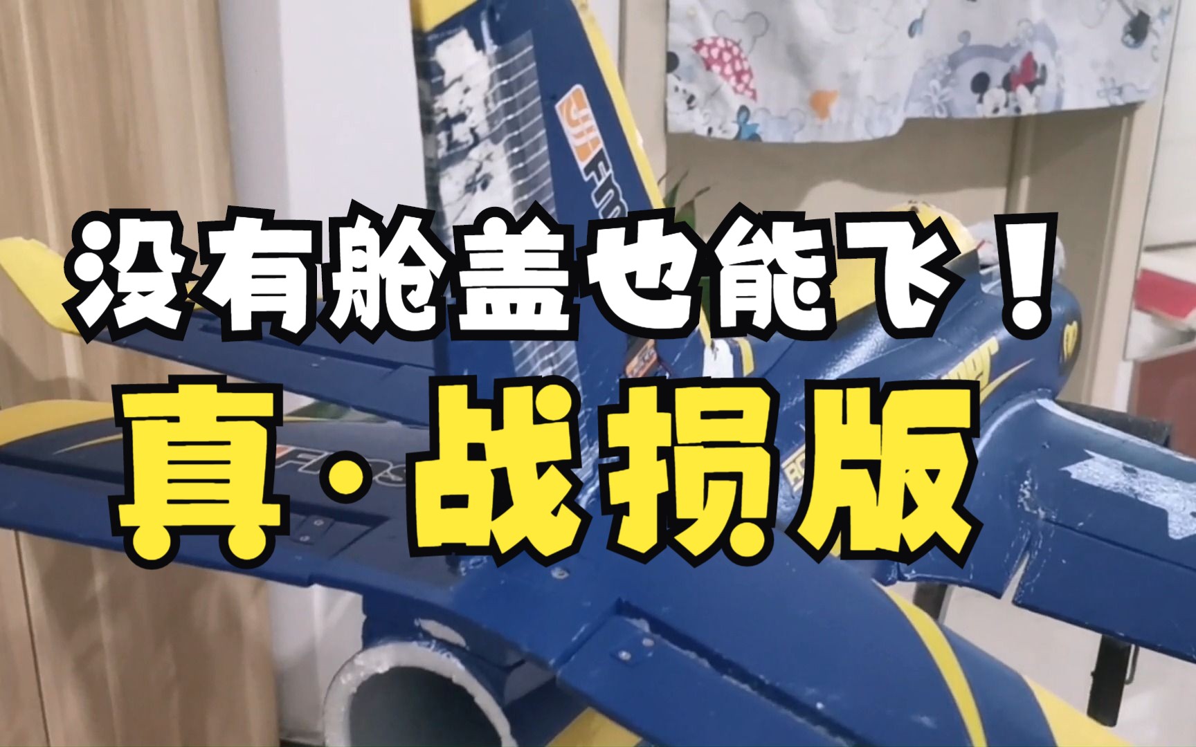真·战损版FMS70毒蛇航模飞行记录
