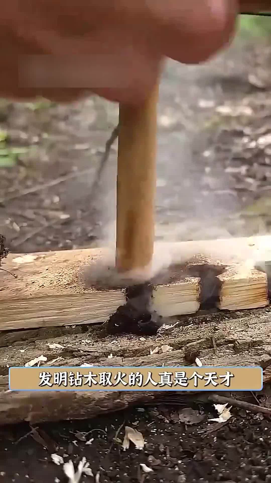 在野外如何钻木取火? #知识科普 #冷知识