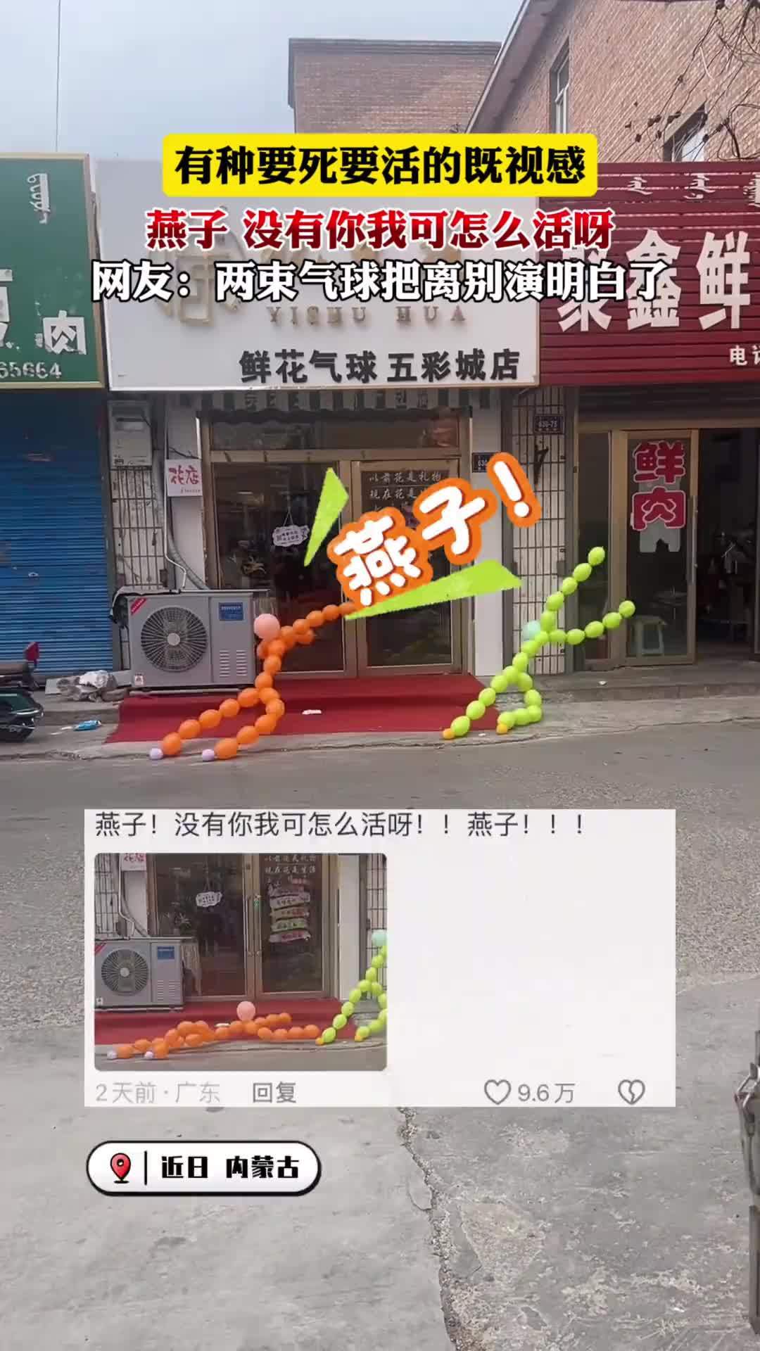 有种要死要活的既视感!燕子,没有你我可怎么活呀!网友:两束气