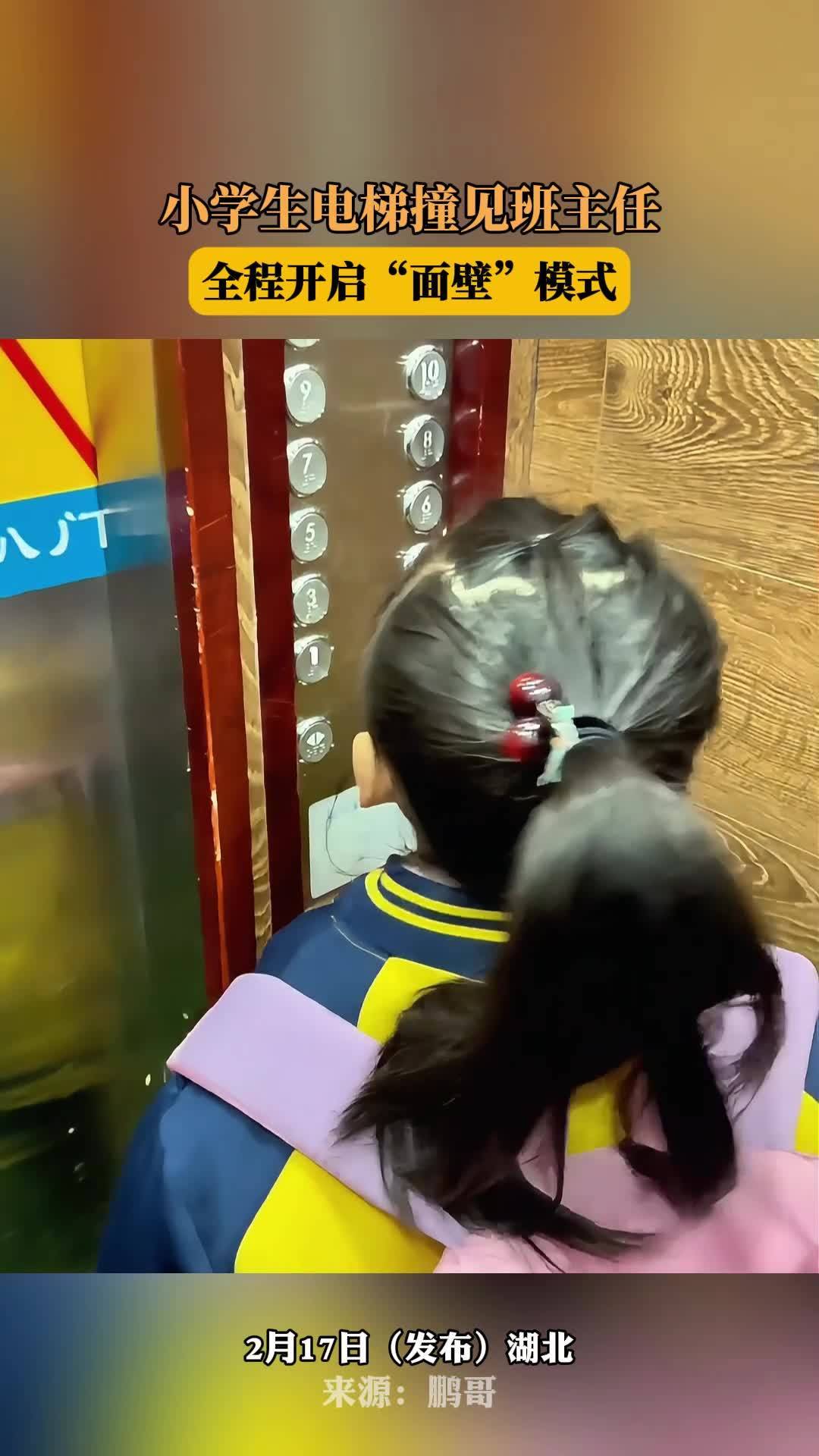 小学生电梯撞见班主任,全程开启"面壁"模式