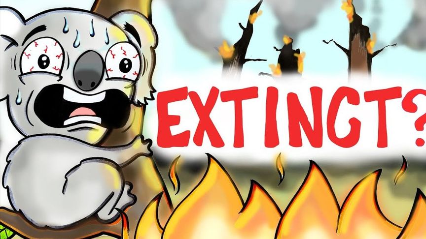 澳大利亚持续大火有何影响?气候变化&极端事件不容忽视!