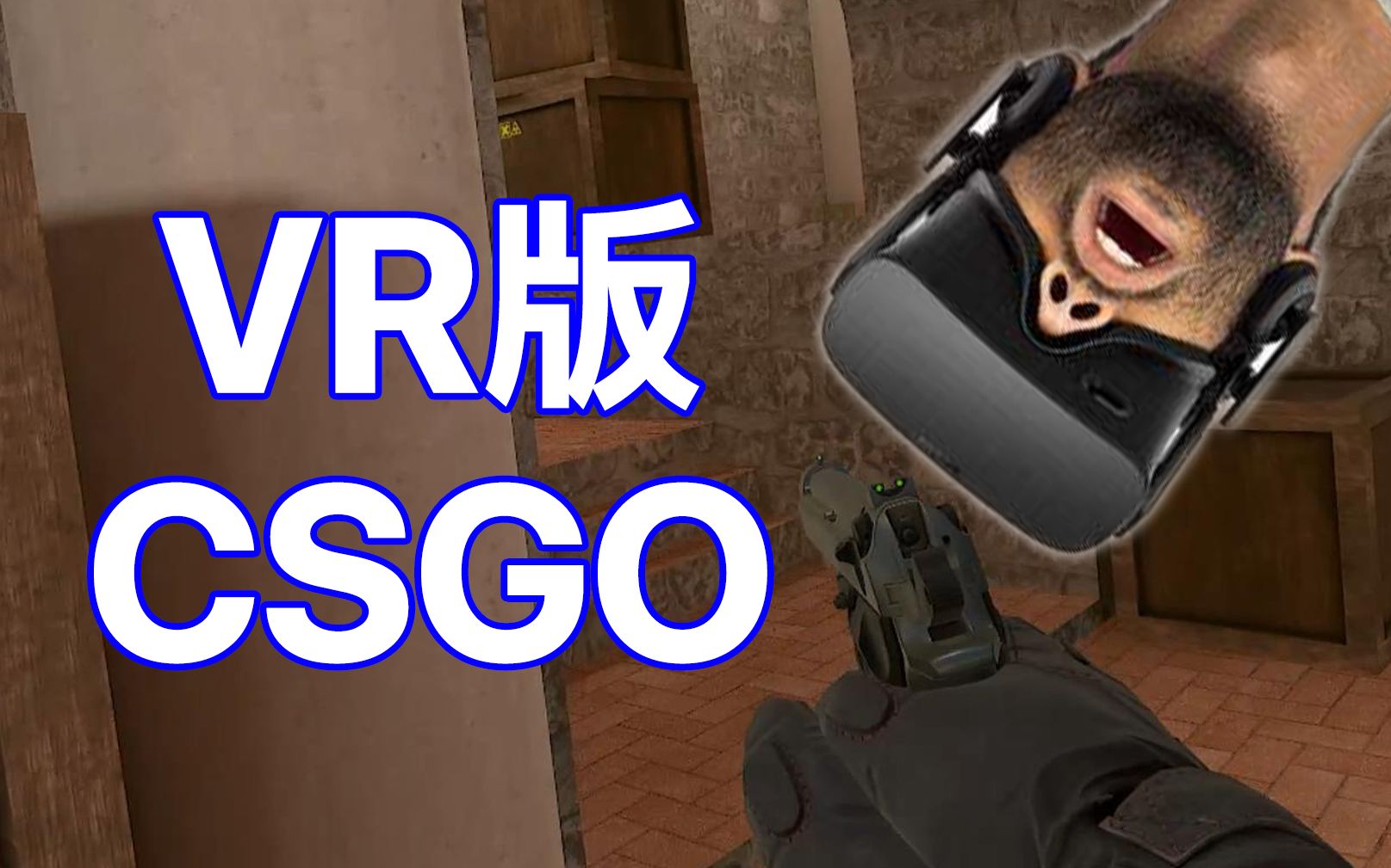 【VR】VR版CS更新了,真实在线锤爆DOGE头