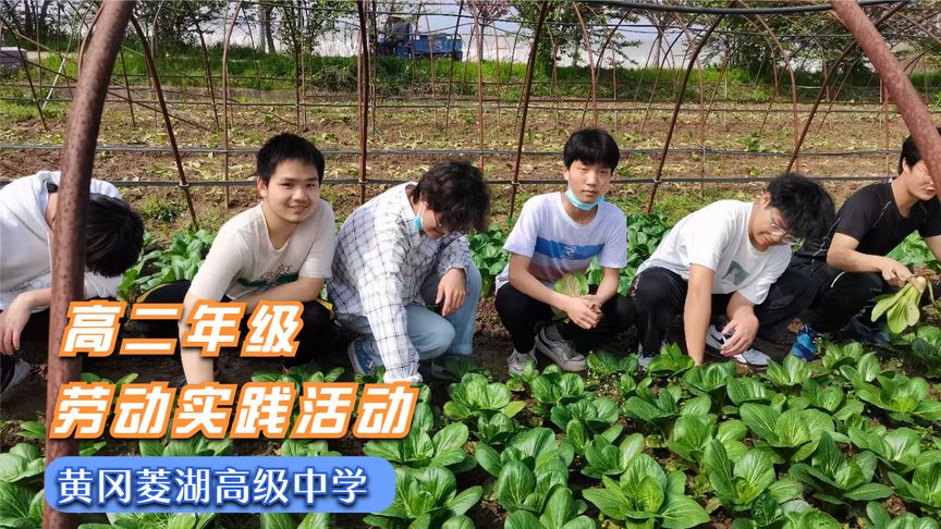 劳动砺心智,实践促成长——我校高二年级开展劳动实践活动