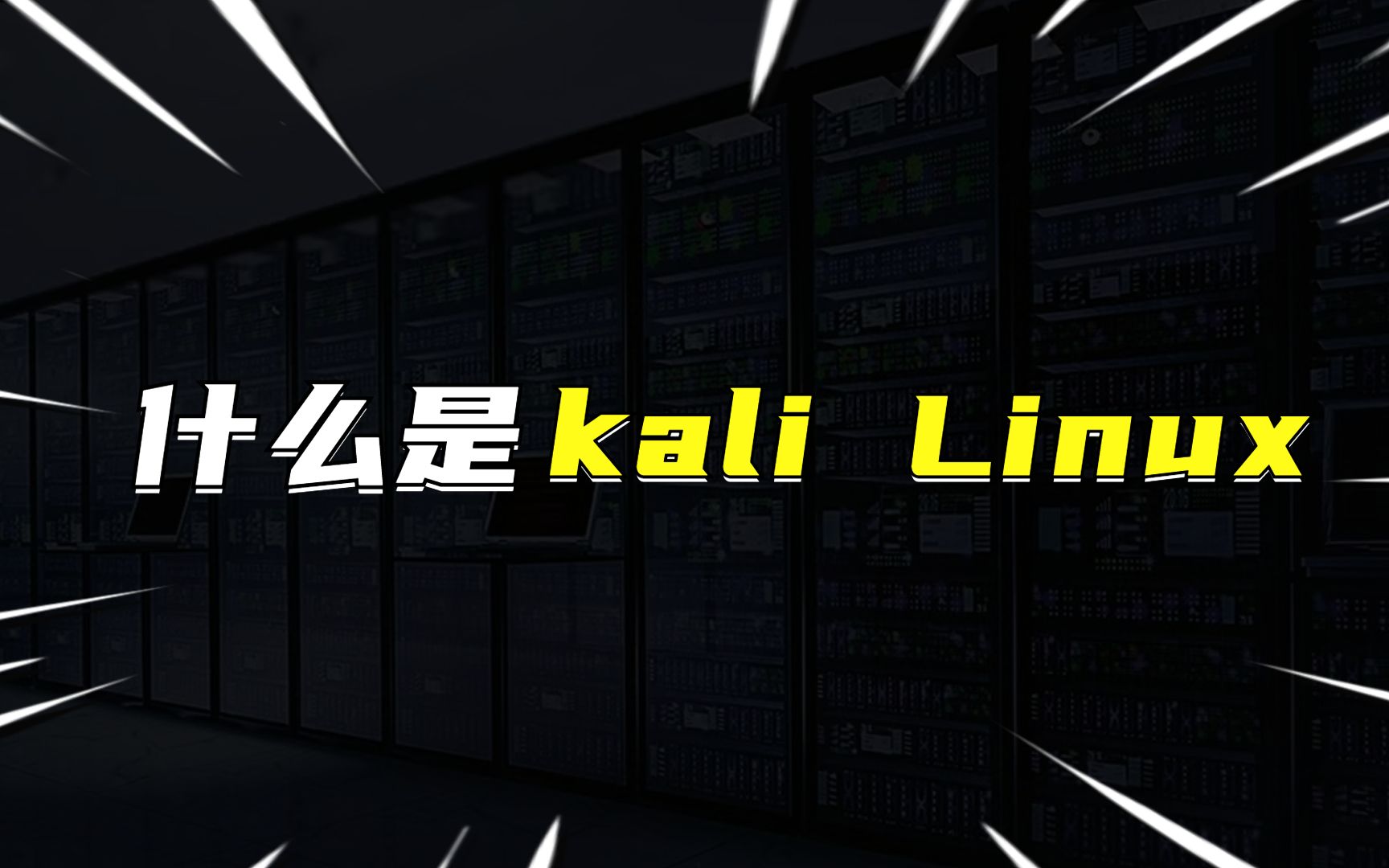 什么是kali Linux?
