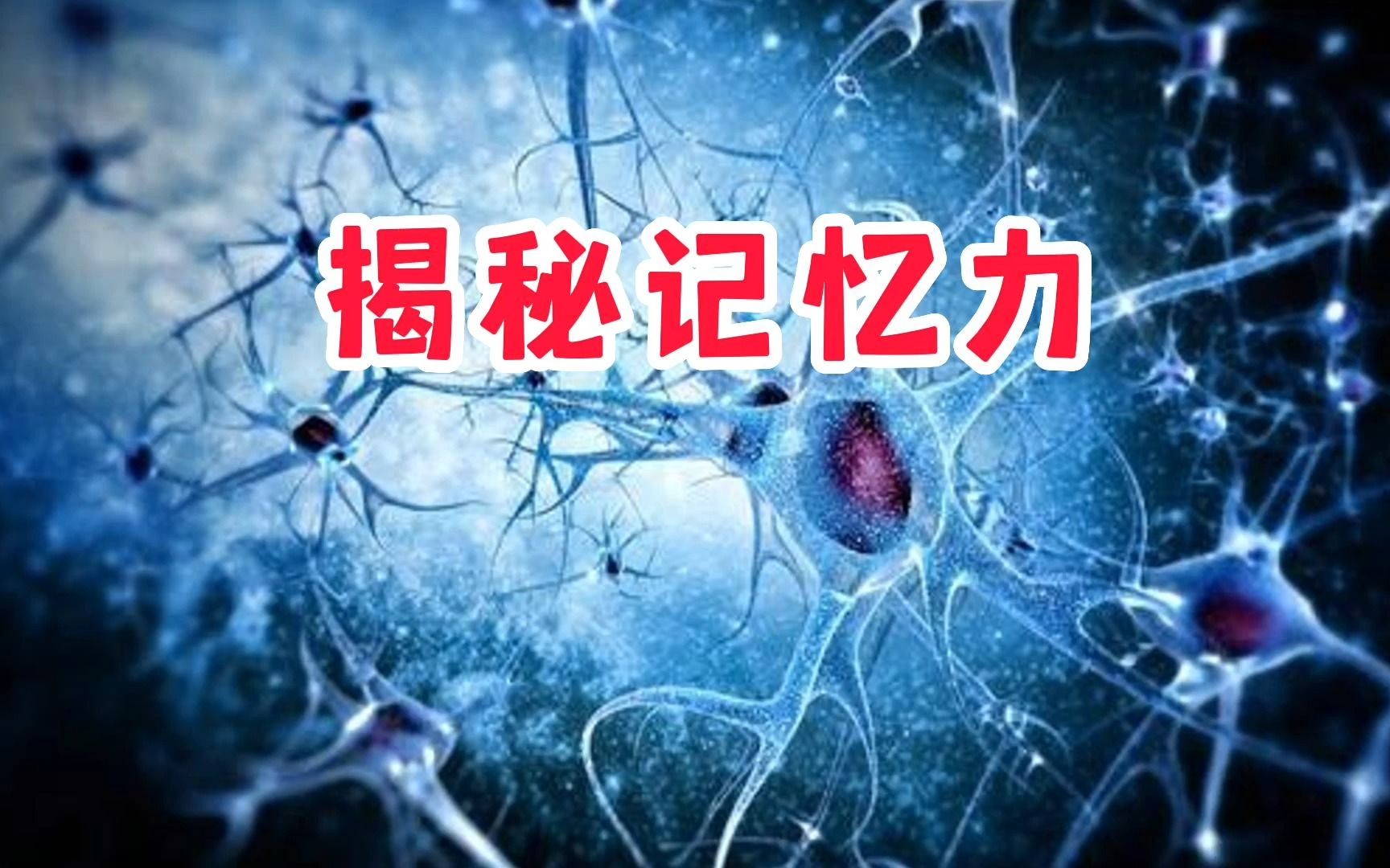 揭秘记忆力-如何科学地提升你的记忆能力