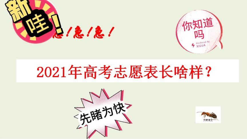 开眼界!高考志愿表是什么样子?2021新鲜事物让你大吃一惊