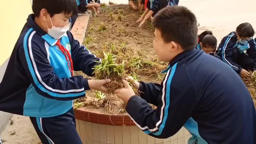 #绿化校园#美化环境