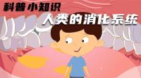 科普小知识:人类的消化系统