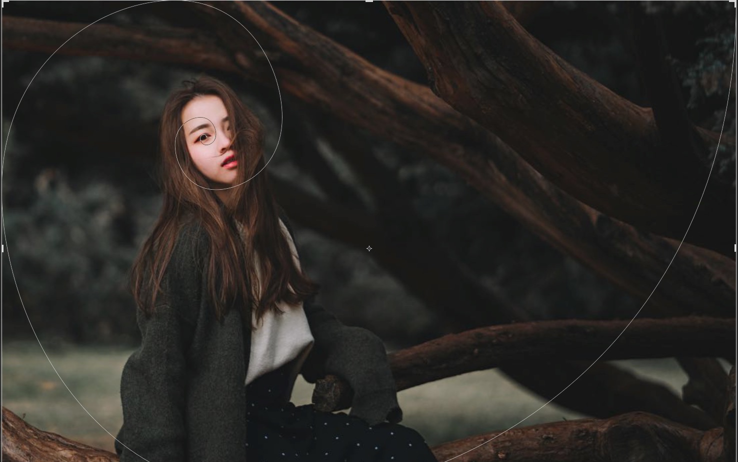 史上最全【构图指南】教你如何快速提升画面美感