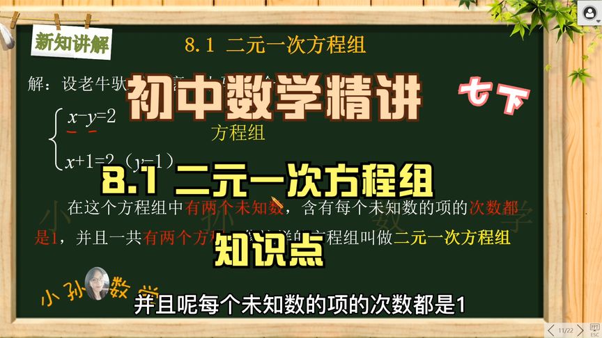 「初中数学精讲」初一 下 8.1 二元一次方程组(知识点)
