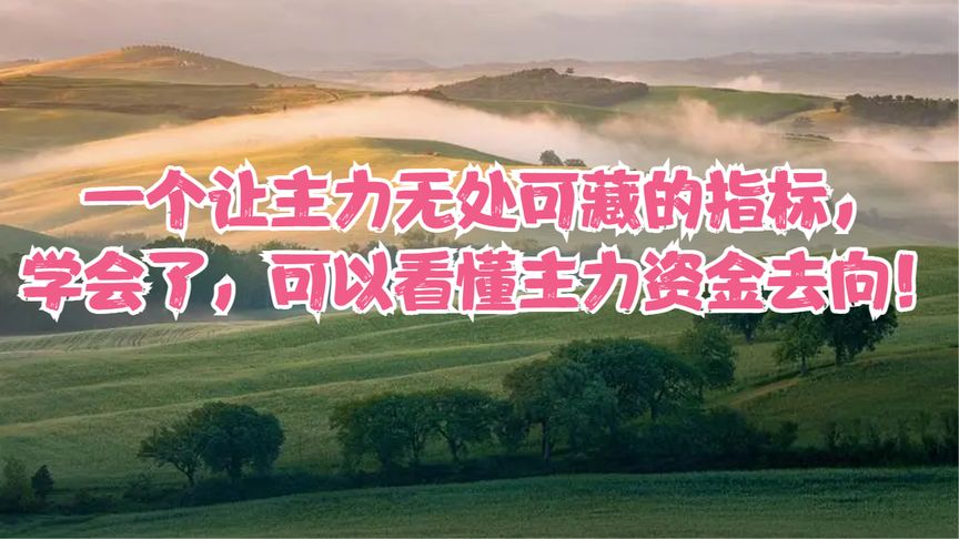 一个让主力无处可藏的指标,学会了,可以看懂主力动向