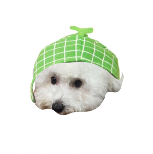 萝萝萝萝萝卜小姐 