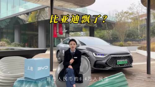 比亚迪飘了新能源汽车之间的孙子兵法你怎么看呢