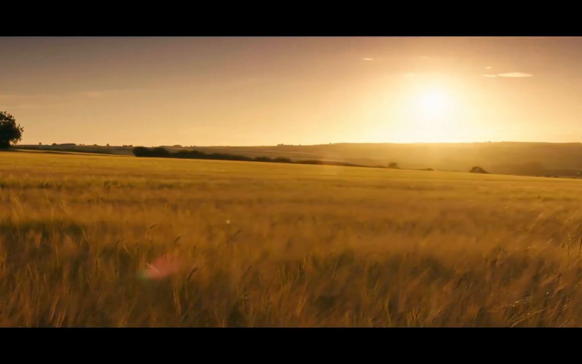 2022年高级会计师网课课件教材教程资料备考医考教资财会