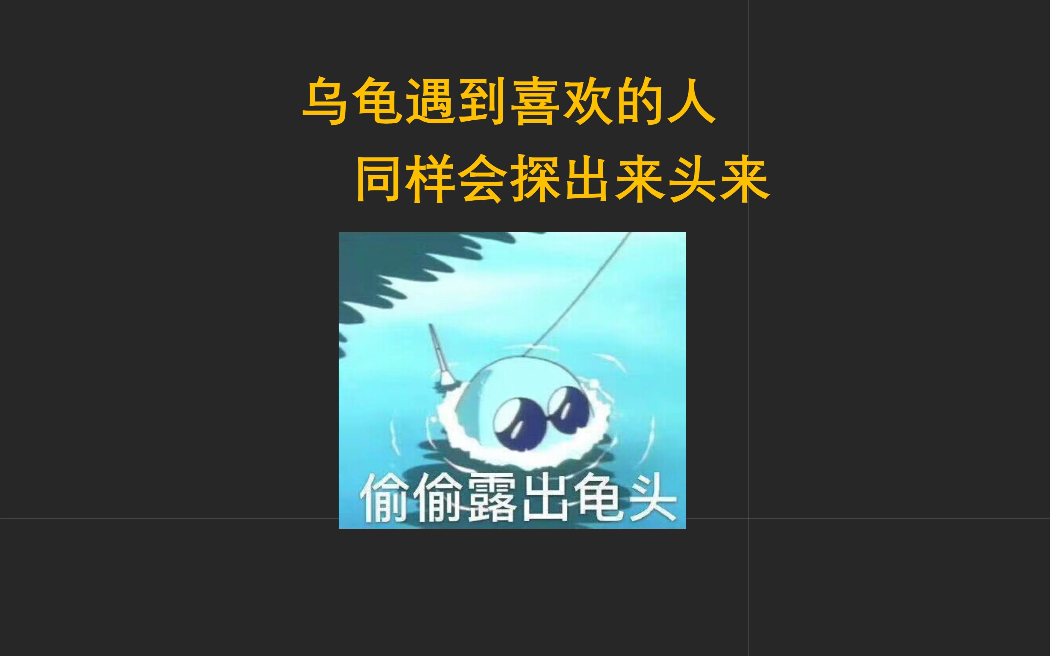 【推文】你爱我 我爱你 两人一起甜蜜蜜~《一只乌龟的暗恋》