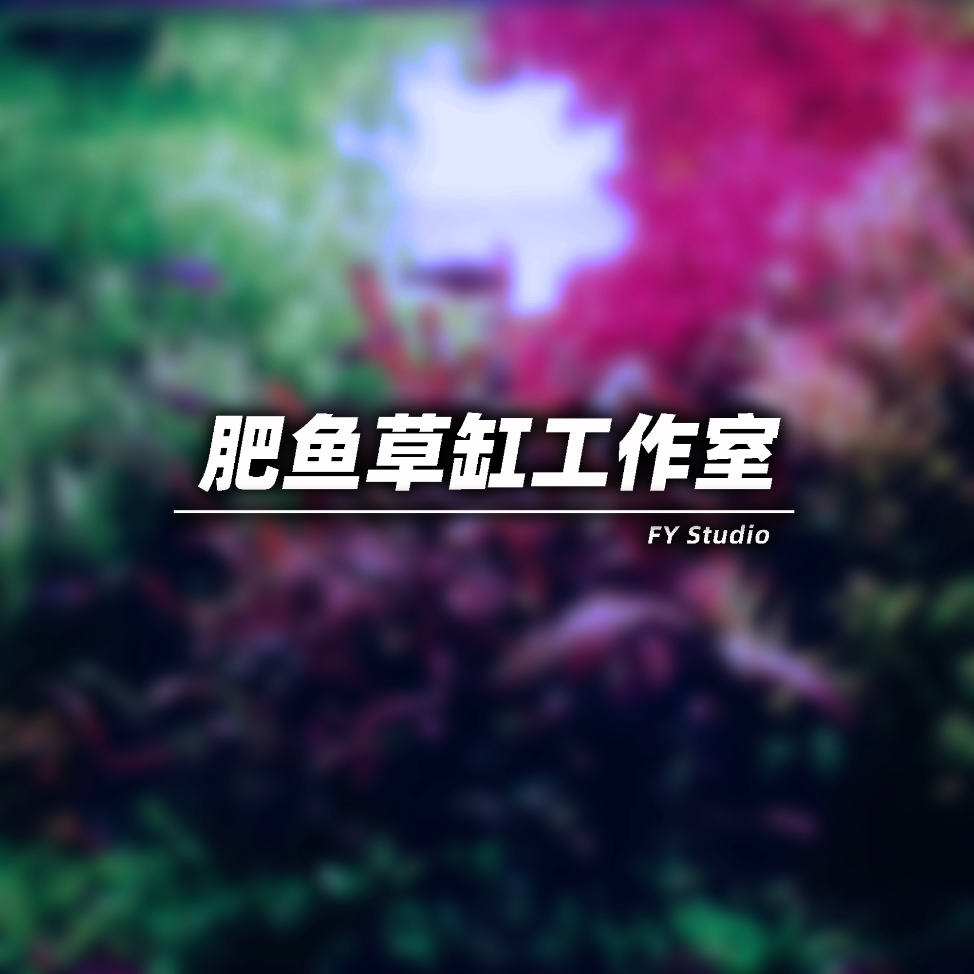 肥鱼草缸工作室 