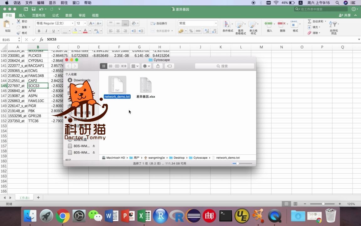 Cytoscape使用教程--科研猫