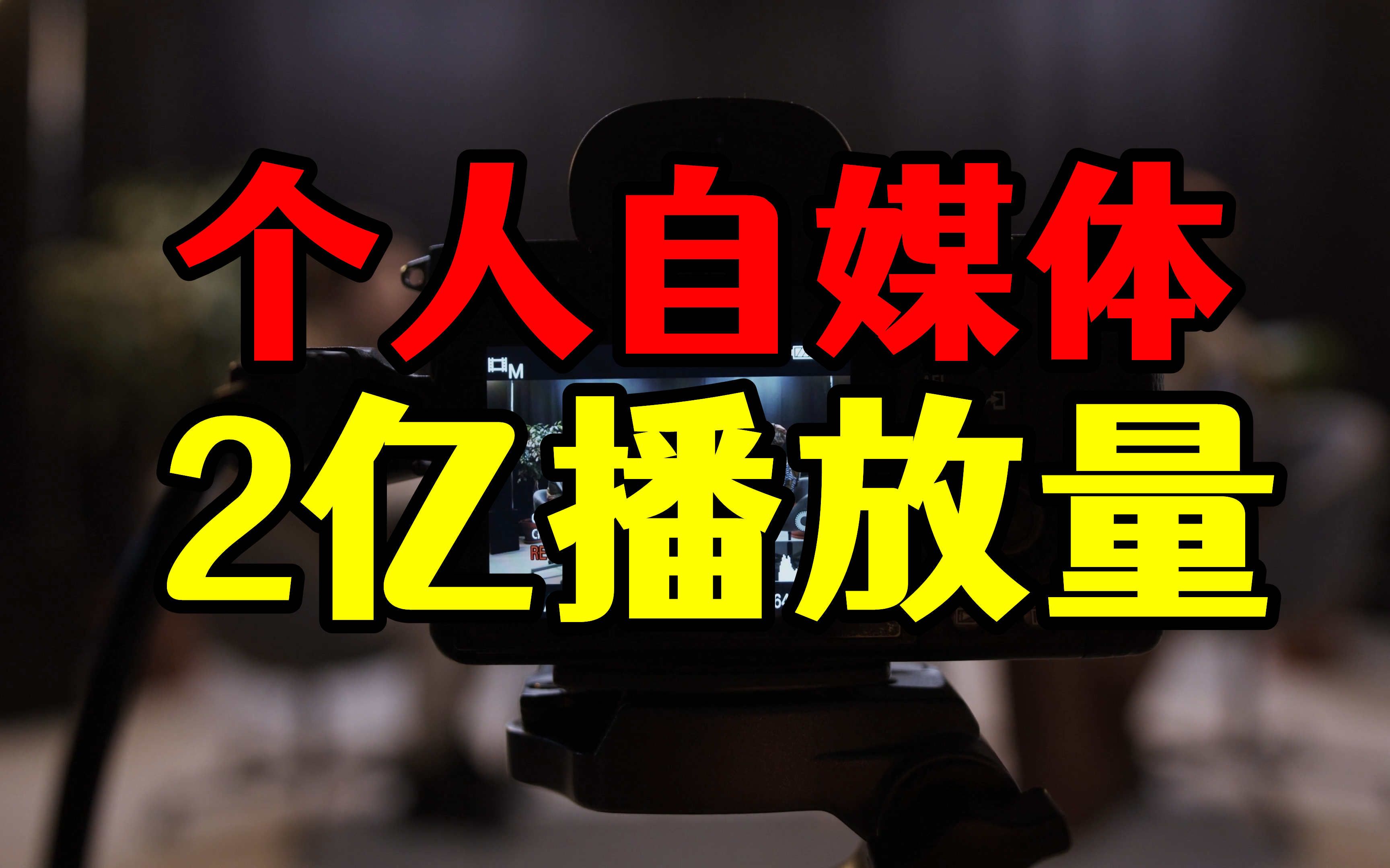 自媒体一年2亿播放量,个人也能实现公司传播效果,收益有多少