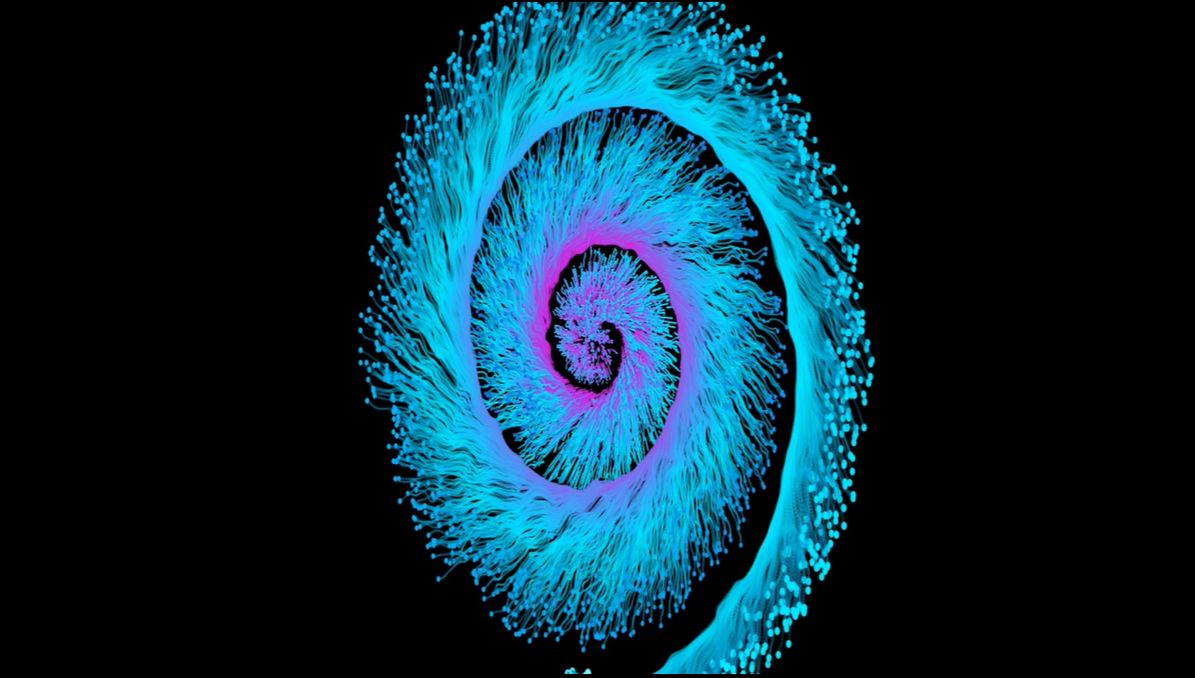 【AE教程】简单的螺旋线花,专适合新手小白的案例!