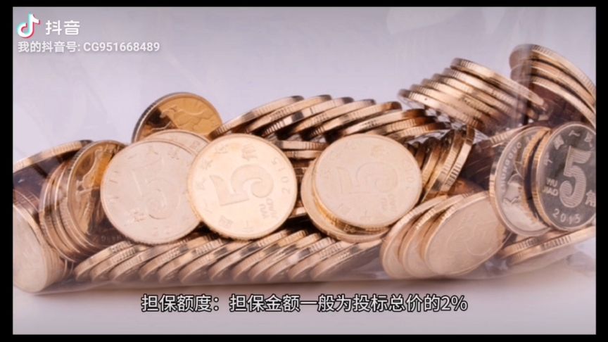 工程担保—投标保函