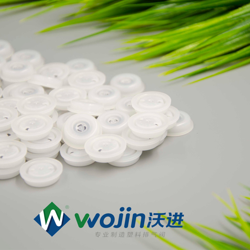 沃进单向排气阀 