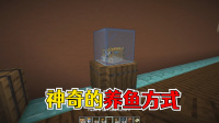 我的世界:专业玩家才知道的构建技巧,神奇的养鱼方式!