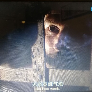 老张看年报 