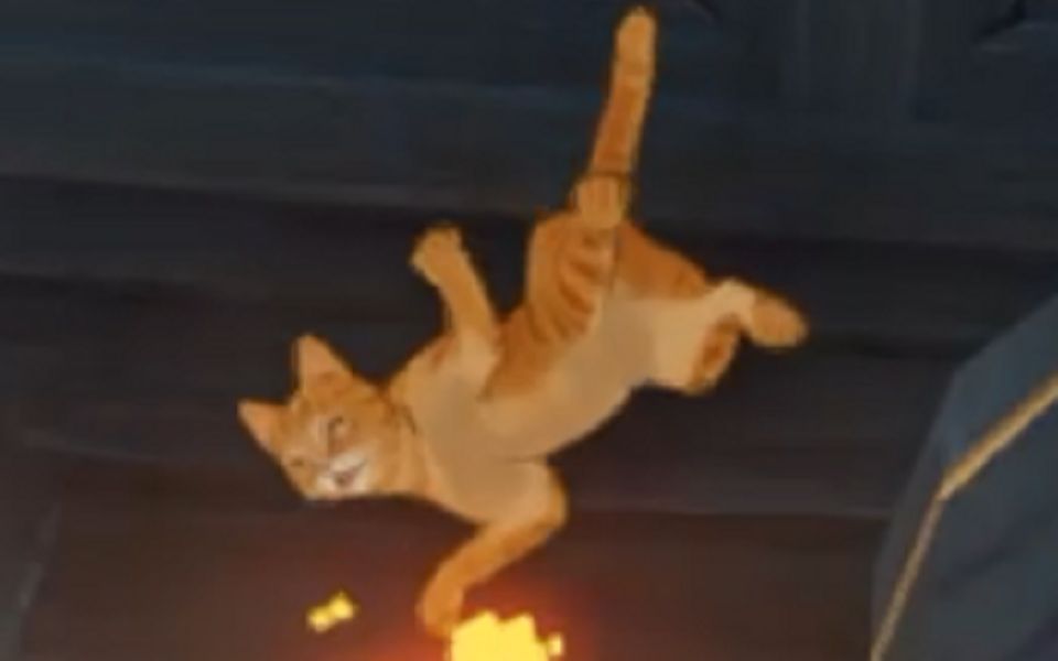 猫:你个狗,你怎么跟狗一样