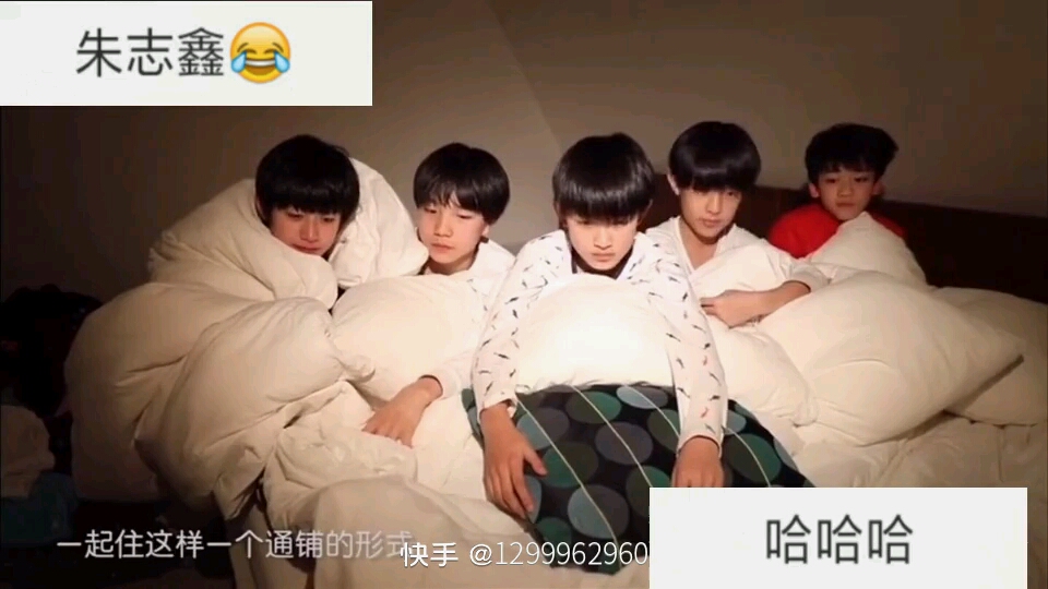 TF家族