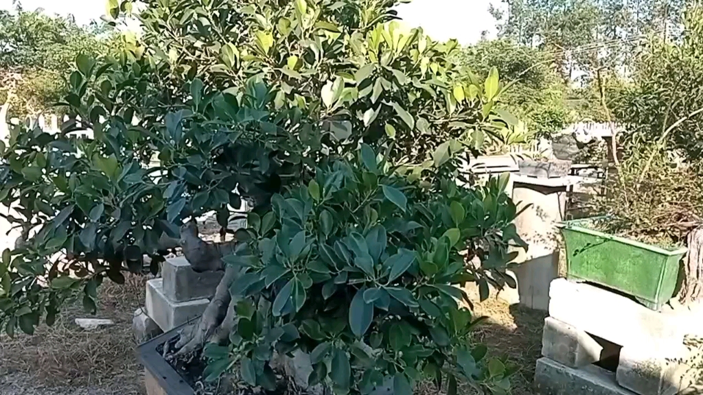 韩城桥梁隧道渗漏防水维修陕西钢结构金属屋面防水维修韩城砖墙渗漏...
