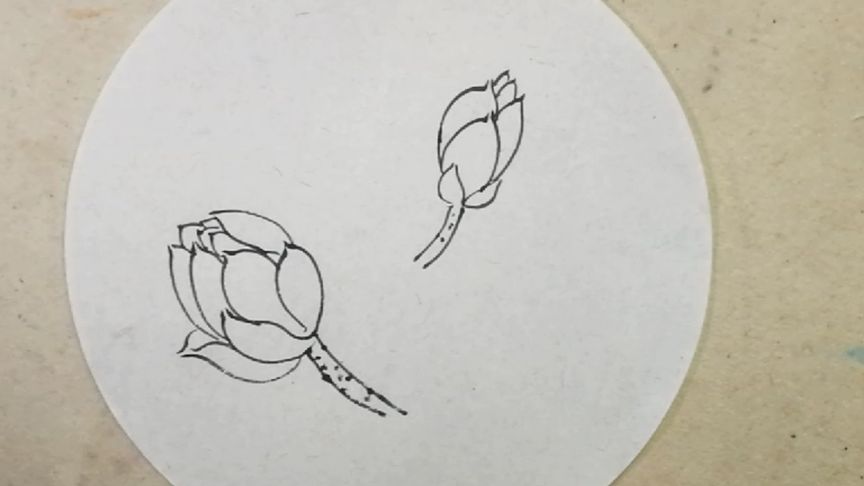 零基础花鸟画，莲花花苞的画法，这样画好简单，学会了吗