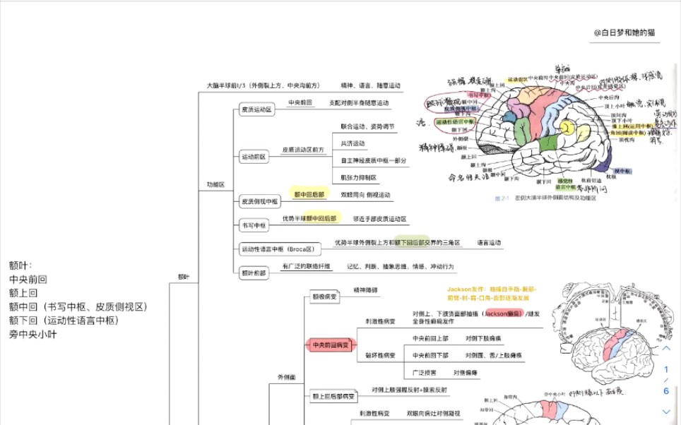 【神经病学思维导图PDF·自制】累计耗时72小时 ‖ 神经病学梳理