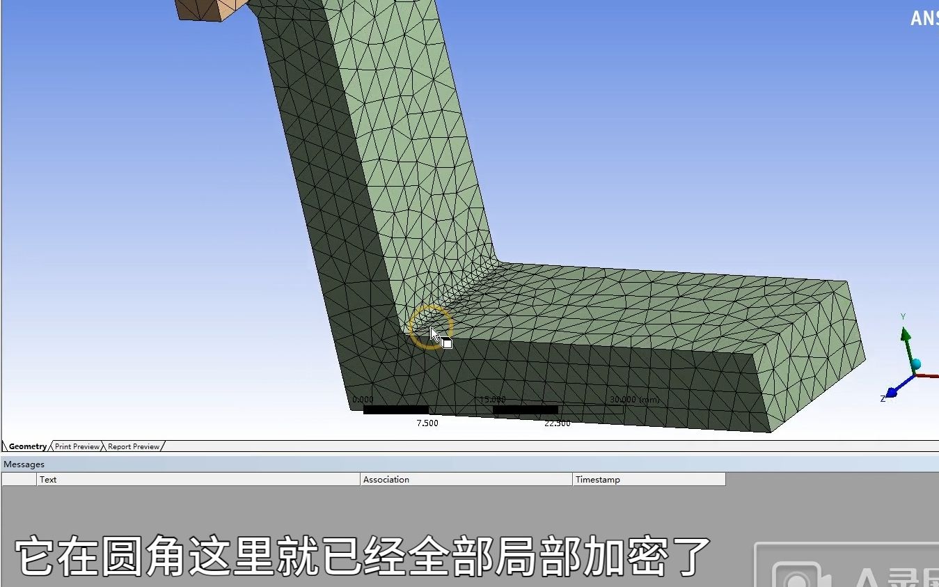 workbench-怎么把局部的网格加密