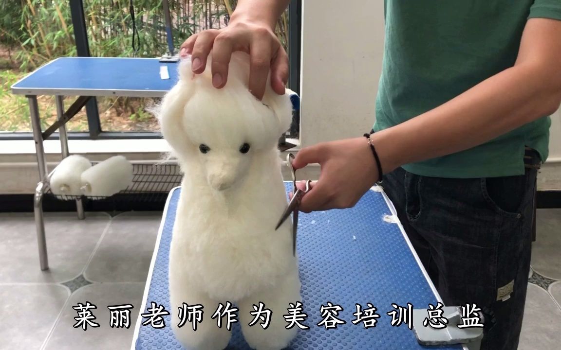 一般学一个宠物美容师培训多少钱