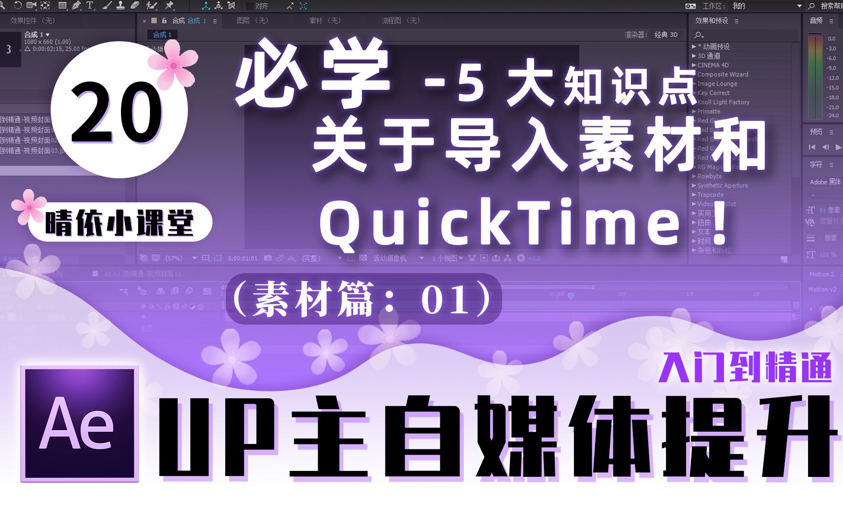 【AE教程】20:5大要点:关于导入素材和QuickTime!「晴依小课堂」5...