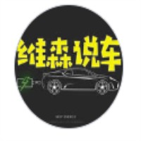 维森素说 