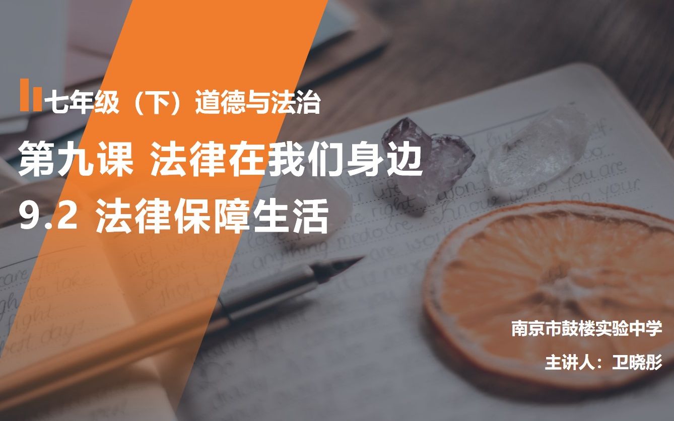 【轻松学政治】人教版道德与法治七年级下册9.2法律保障生活(精品...