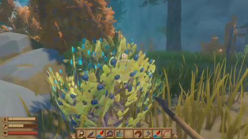 木筏求生14:熊岛探索攻略