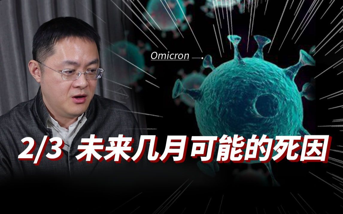 2/3几百万人可能的死亡原因可能来自概率,来自重症,来自挤兑,来自医疗...