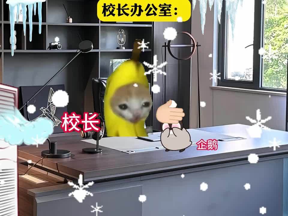 学生教室VS校长办公室