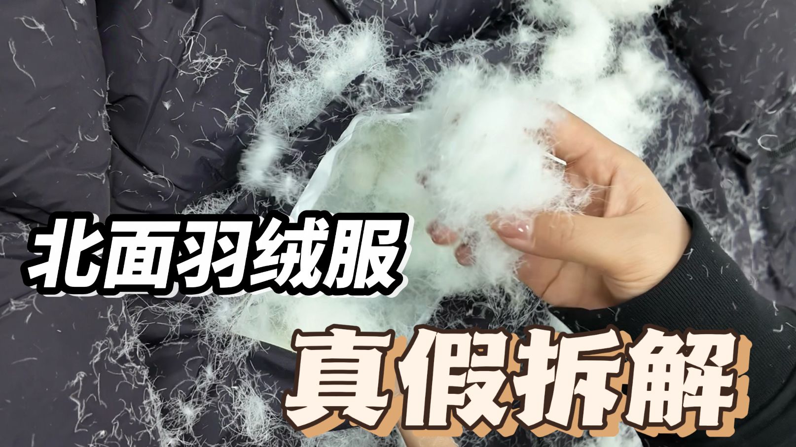 斥资3千拆解真假北面羽绒服!