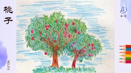 彩铅画: 四五月份, 桃子快熟了, 我们今天用彩铅画桃树