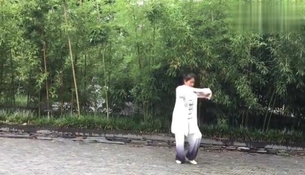 太极女老师现场演练武当玄武拳慢动作习教学!
