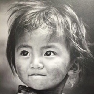 波尔的奇妙冒险 