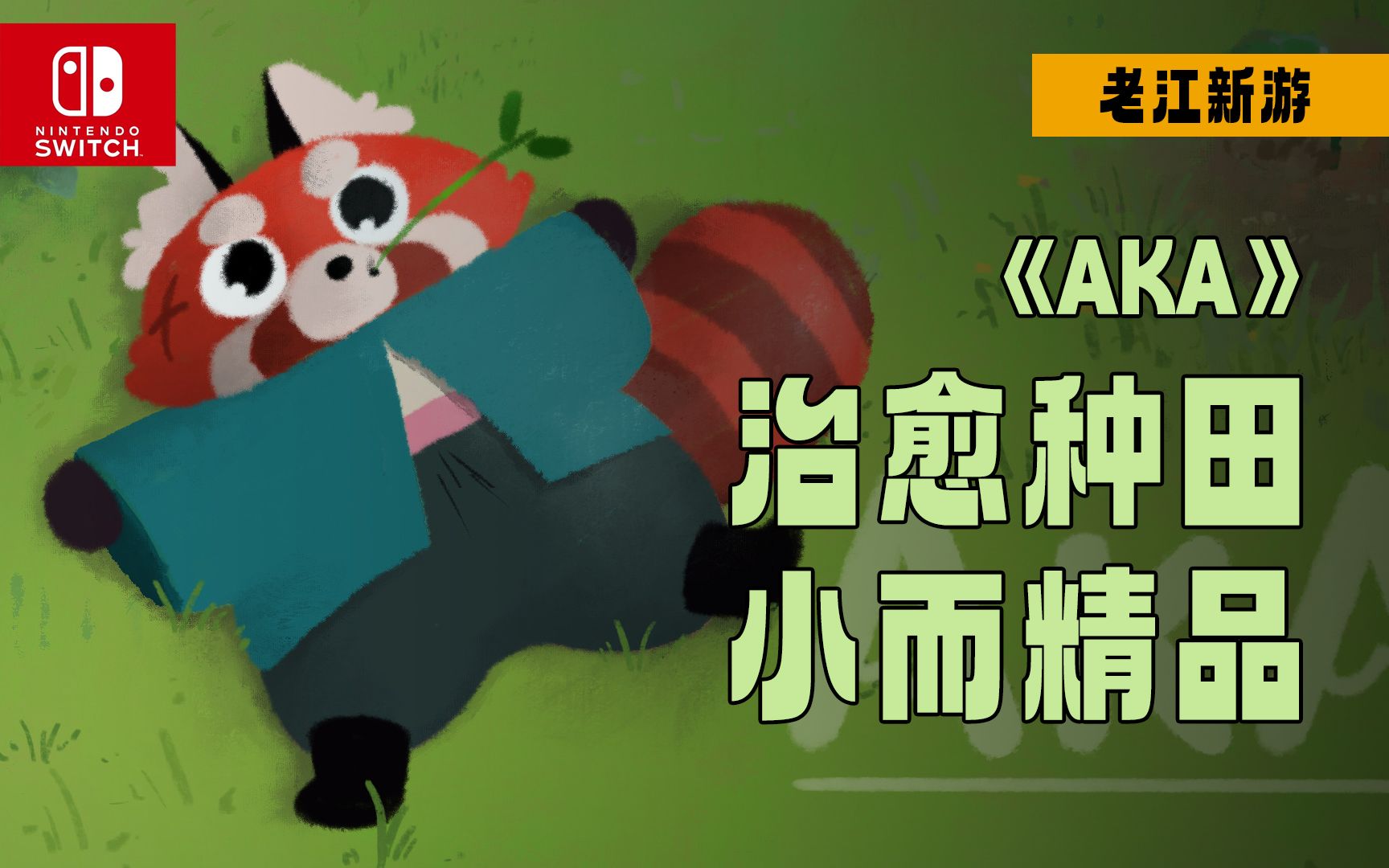 《老江新游》switch单人冒险养成种田新游戏推荐—(AKA)有中文