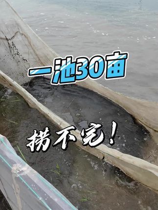 环保政策对农业的影响,农民该如何应对?