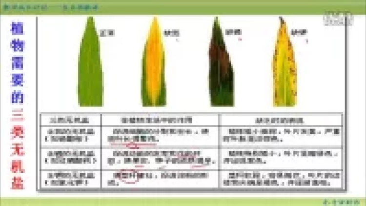 【生物大师】初中生物微课教学视频第37集:吸收作用之植物生活需要...